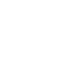 Black Pegasus | Brass Knuckle Gang